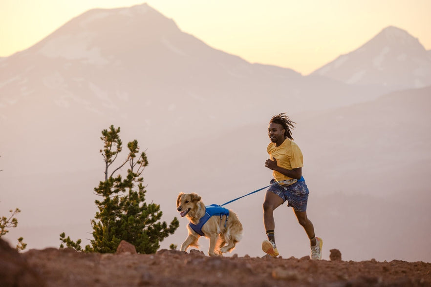 4-Week 5K Training Plan for Running with Your Dog | Ruffwear UK