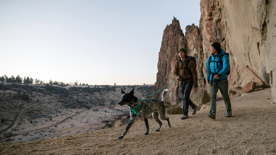 Rope Leads | Ruffwear UK