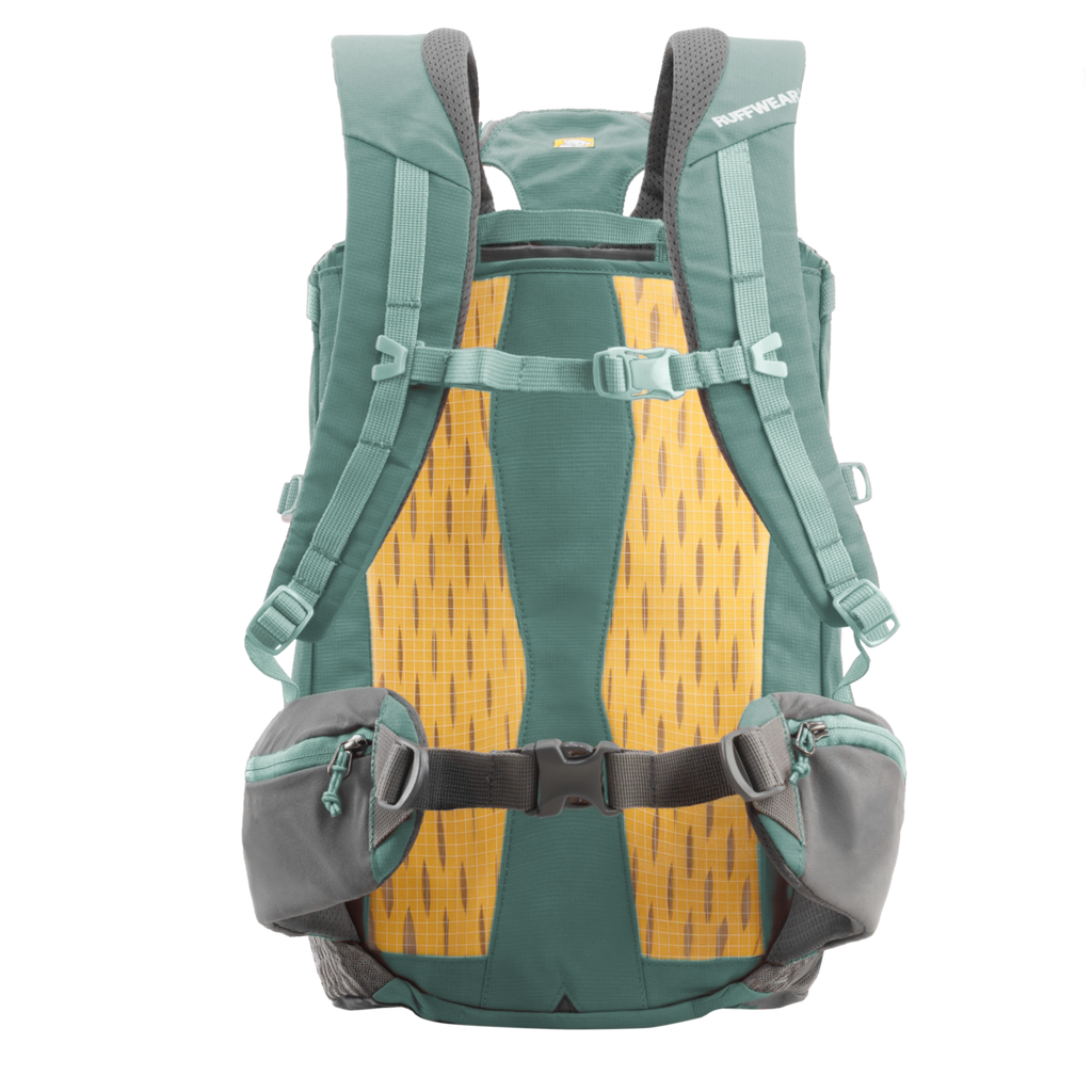 Hitch Hiker™ Dog Backpack Carrier | Ruffwear UK
