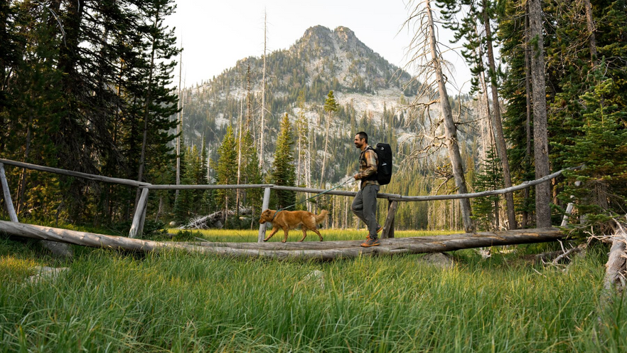 Fall Colors | Ruffwear