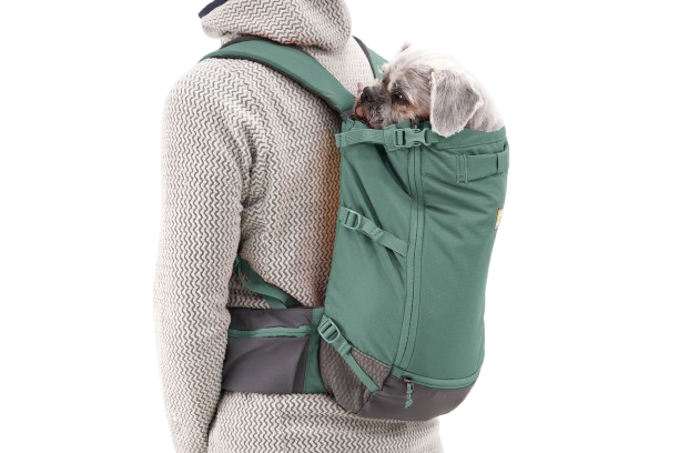 Hitch Hiker™ Dog Backpack Carrier | Ruffwear UK