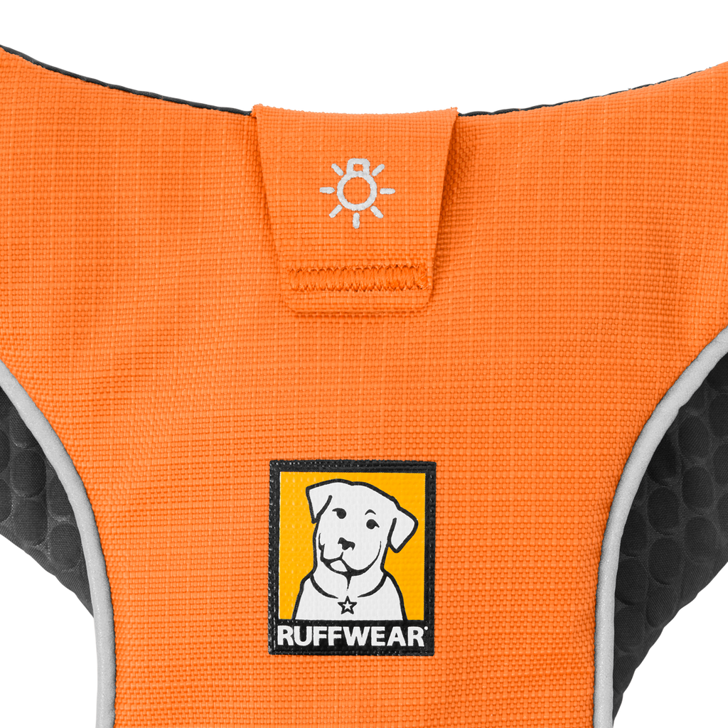 Omnijore™ Dog Joring System | Ruffwear UK