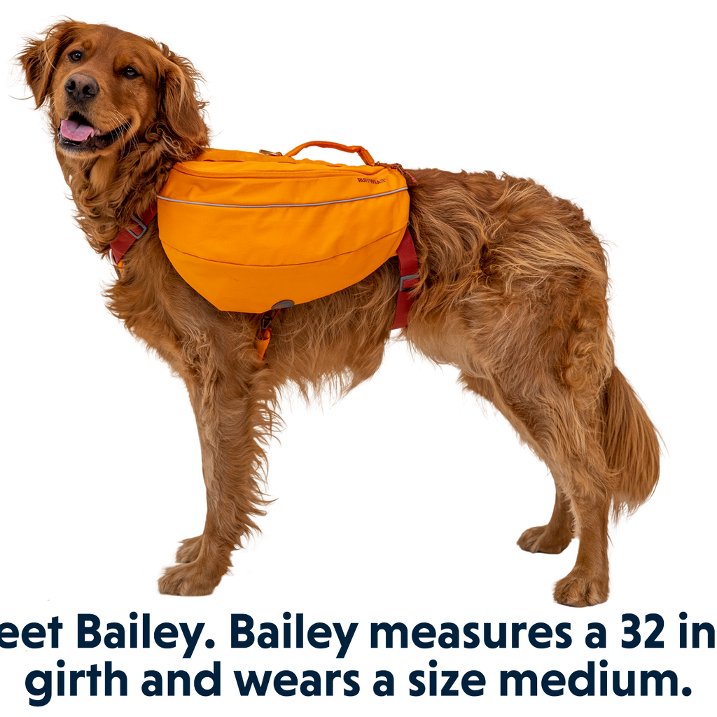Approach™ Dog Backpack | Pack for Dogs | Ruffwear UK